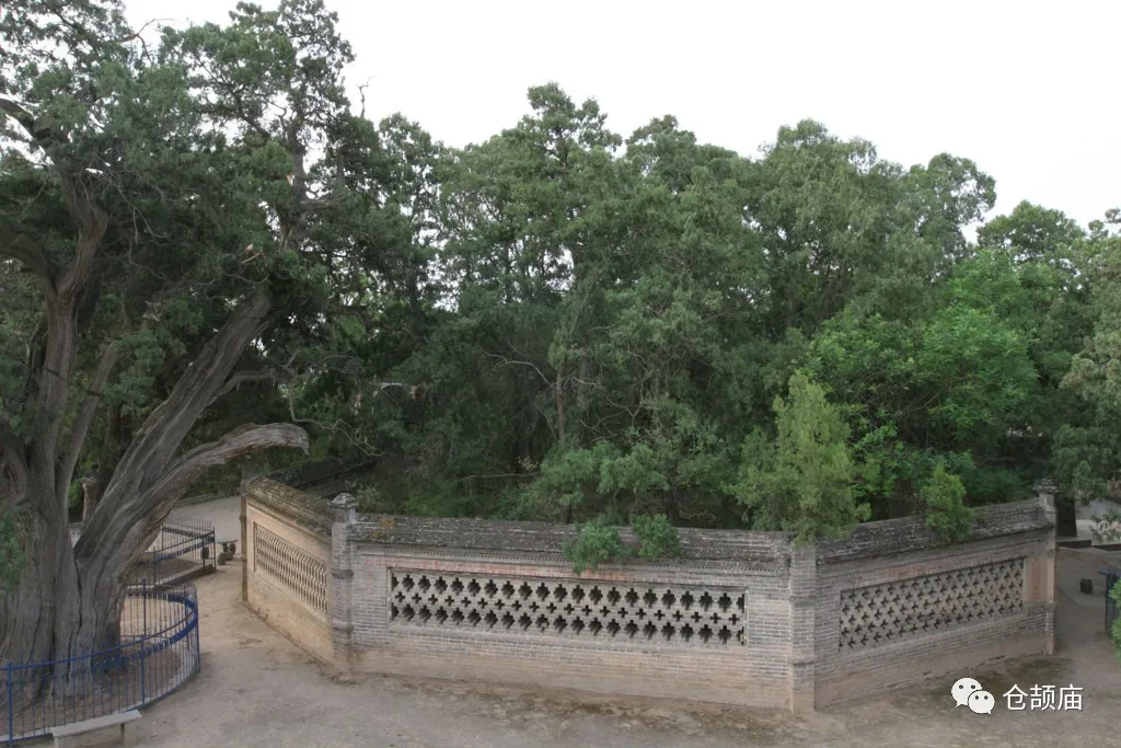 The legend of Cangjie writing characters: after the writing is ...