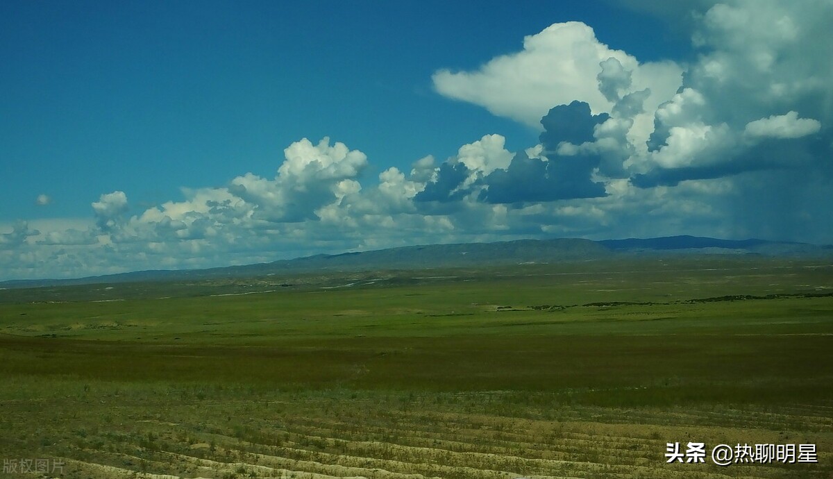 Wang Qi blew herself up and was scolded for music junk?Spring Festival ...