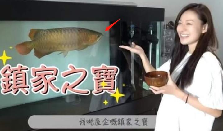 Cao Yunjin's ex-girlfriend Jiang Ruolinxiu's mansion, a fish of 80,000 ...