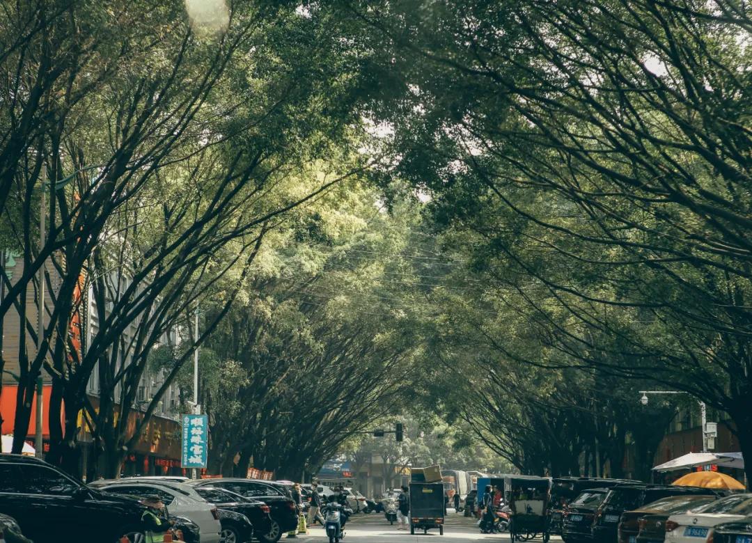 The low-key Yunnan town of Mangshi - iNEWS