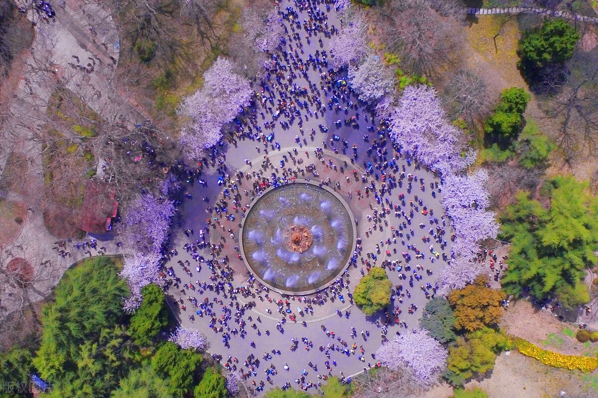 Have you been to the 5 must-visit places in "The Most Beautiful April ...