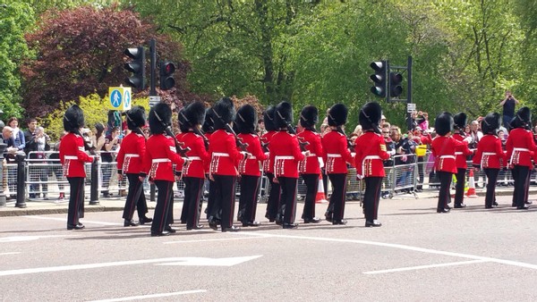 The British Royal Guard, known as the Red Shrimp, should wear a ...