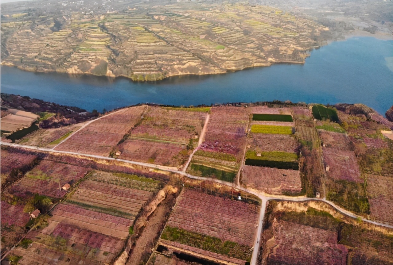 A girl unearthed in Shaanxi 7300 years ago was mutilated by hundreds of ...