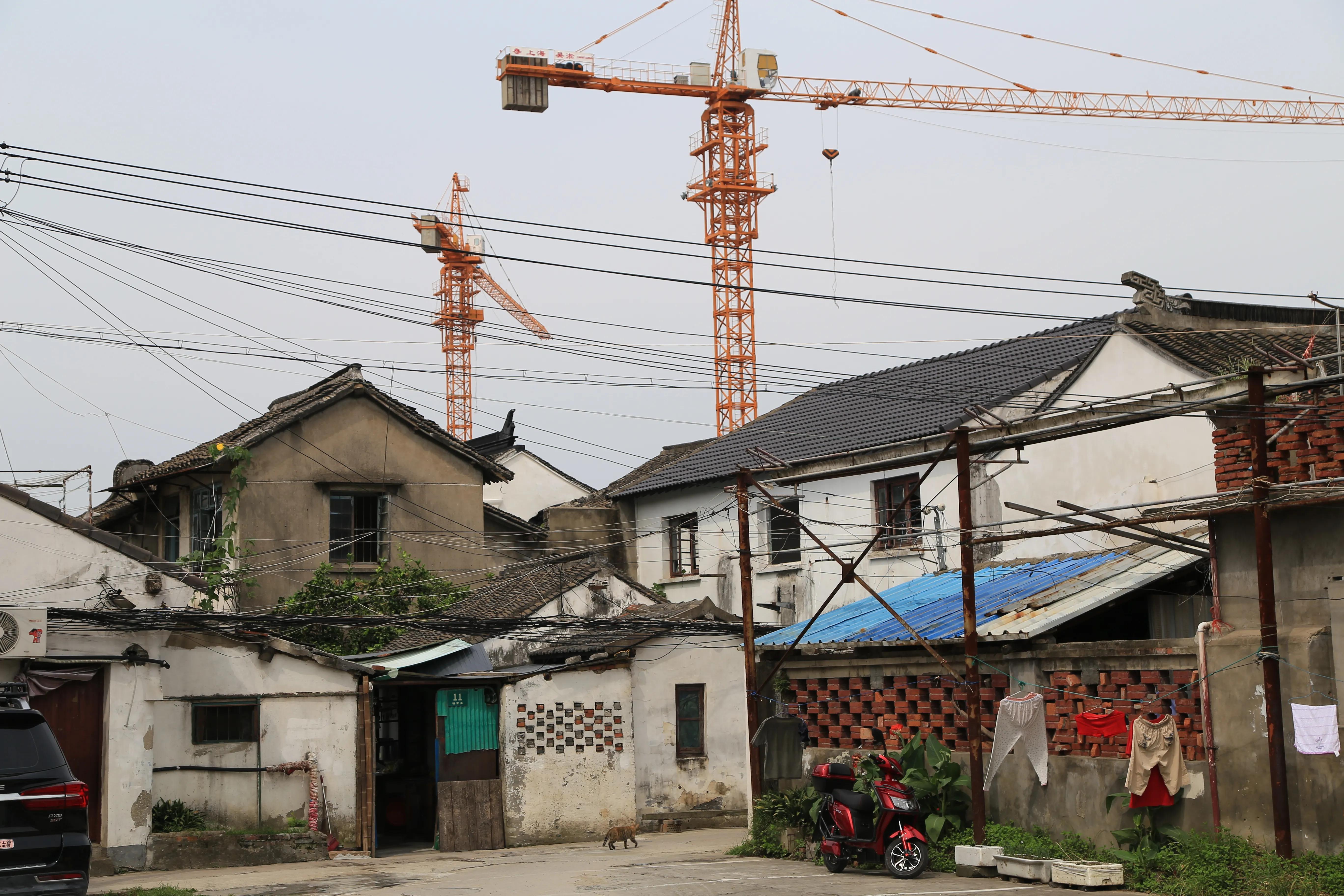Sijing ancient town, old trees and new branches wait for time - iNEWS