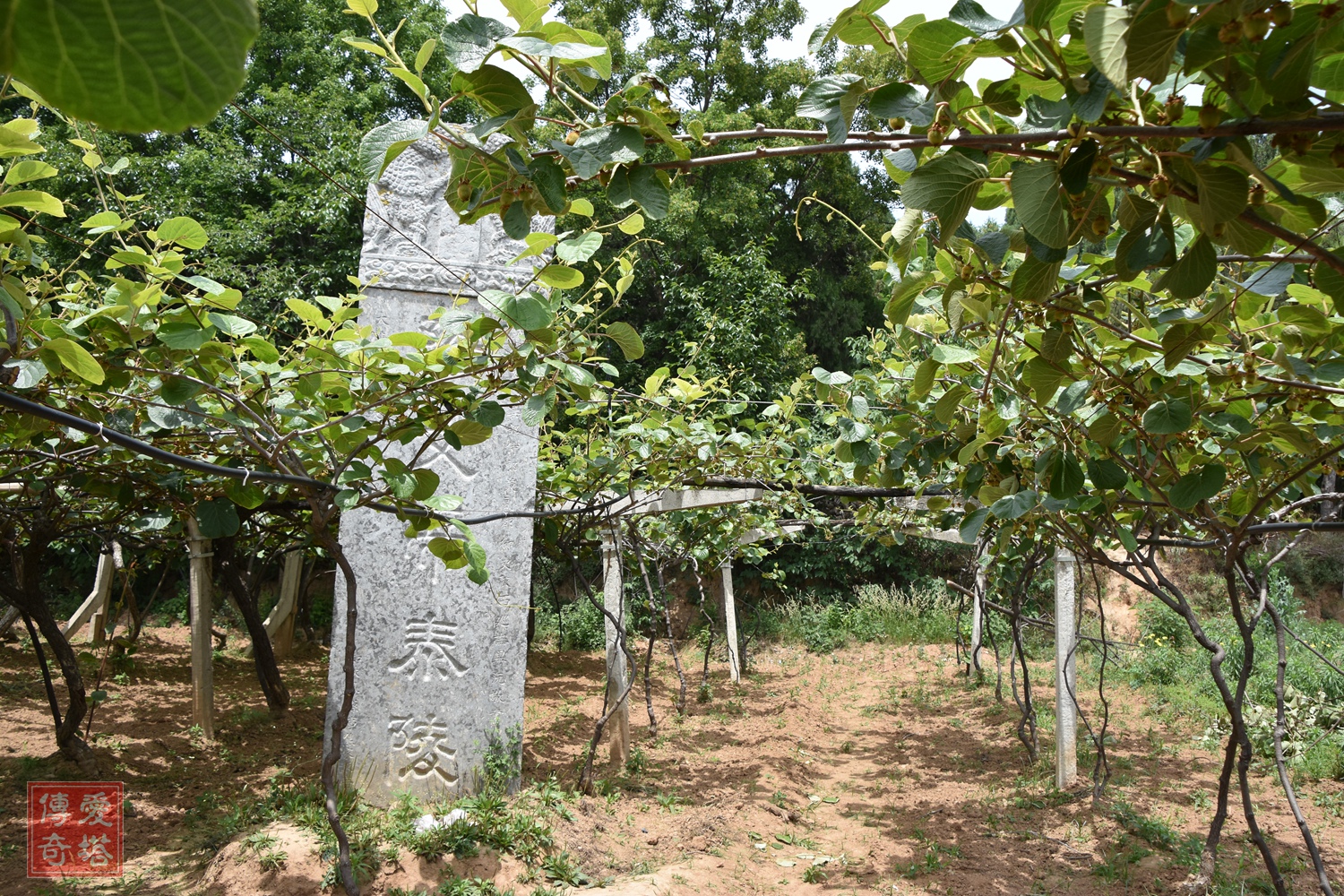 Xin Chou Years in Sui and Tang Dynasties - iNEWS