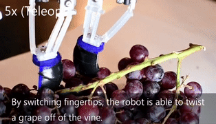 Picking grapes to roll dough... Scientists make Delta robots into smart ...