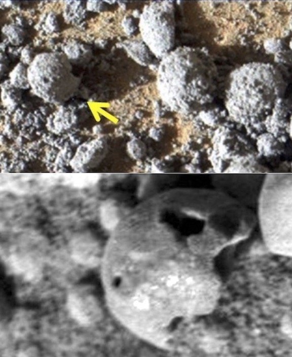 Evidence of life on Mars?Scientists suspect that they have discovered ...