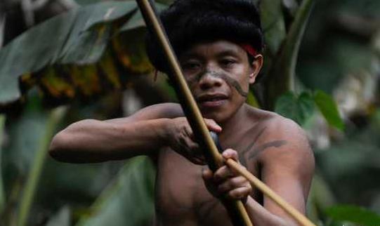 Are humans really weak compared to large wild animals?Humans have also ...