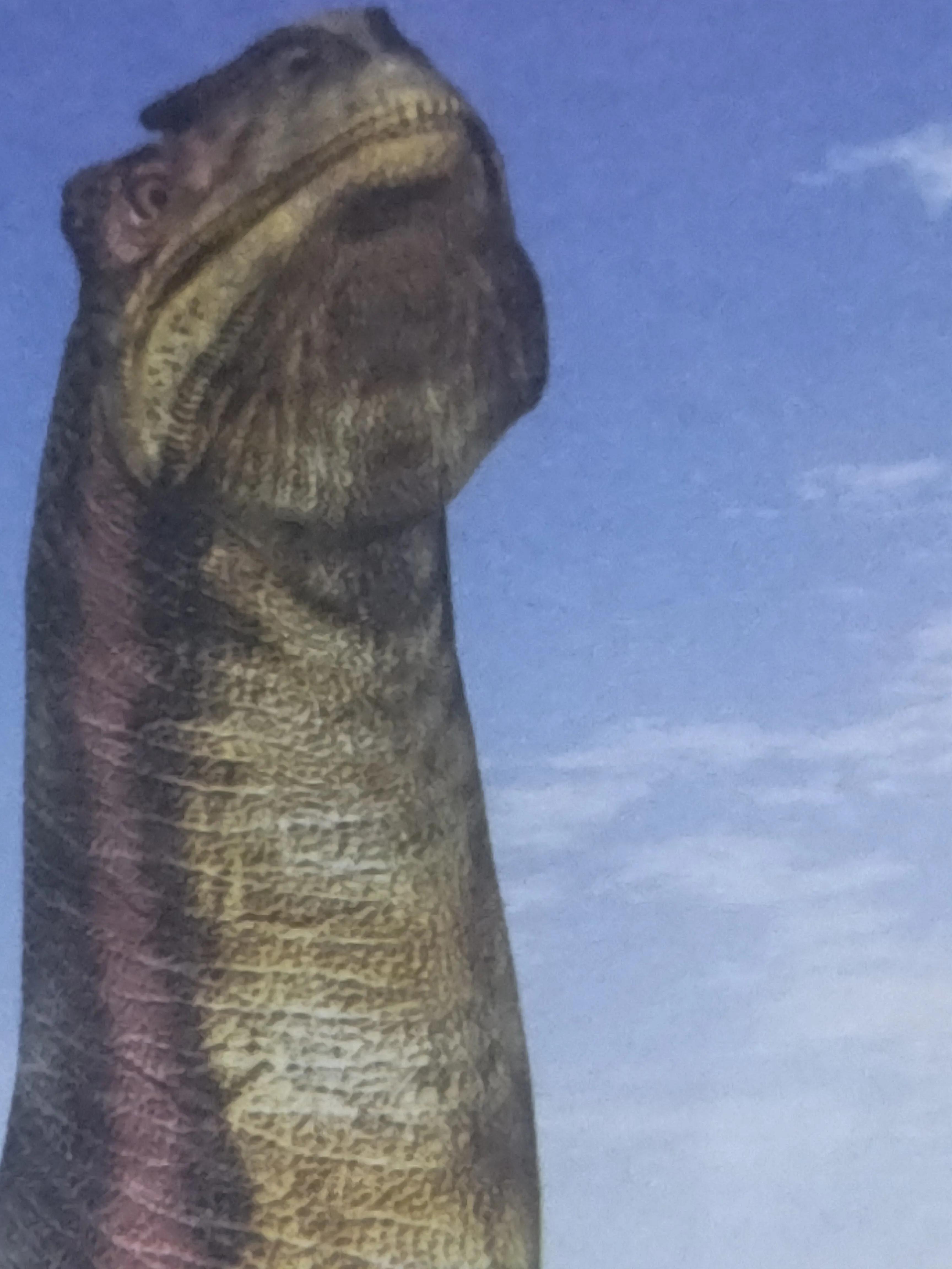 During the Mesozoic Era, Panosaurus, one of the sauropod dinosaurs that ...