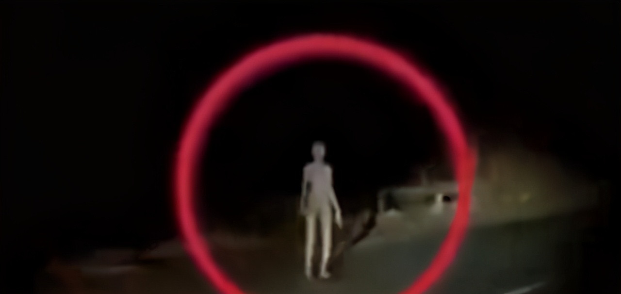 Weird humanoid creatures appear in India. Are they really aliens?Liu ...