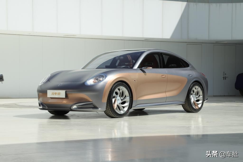 Retro style Euler Lightning Cat real shots exposed - iNEWS