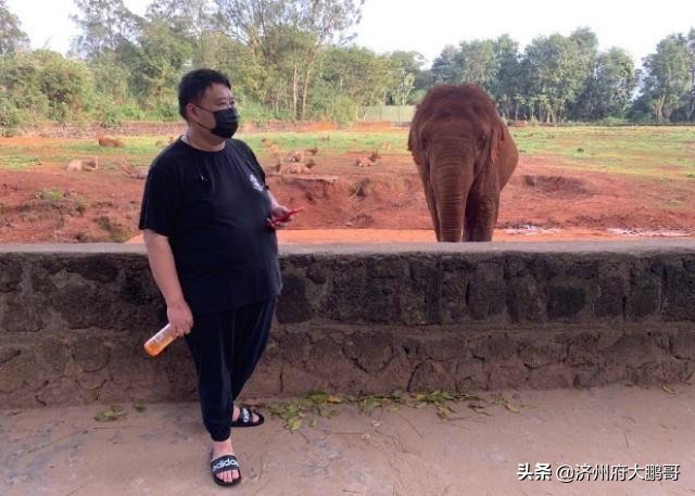 Yue Yunpeng's partner Sun Yue: playing with elephants outside home and ...