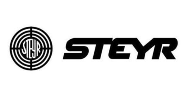 Steyr: The Austrian version of Detroit, the industrial base is beyond ...