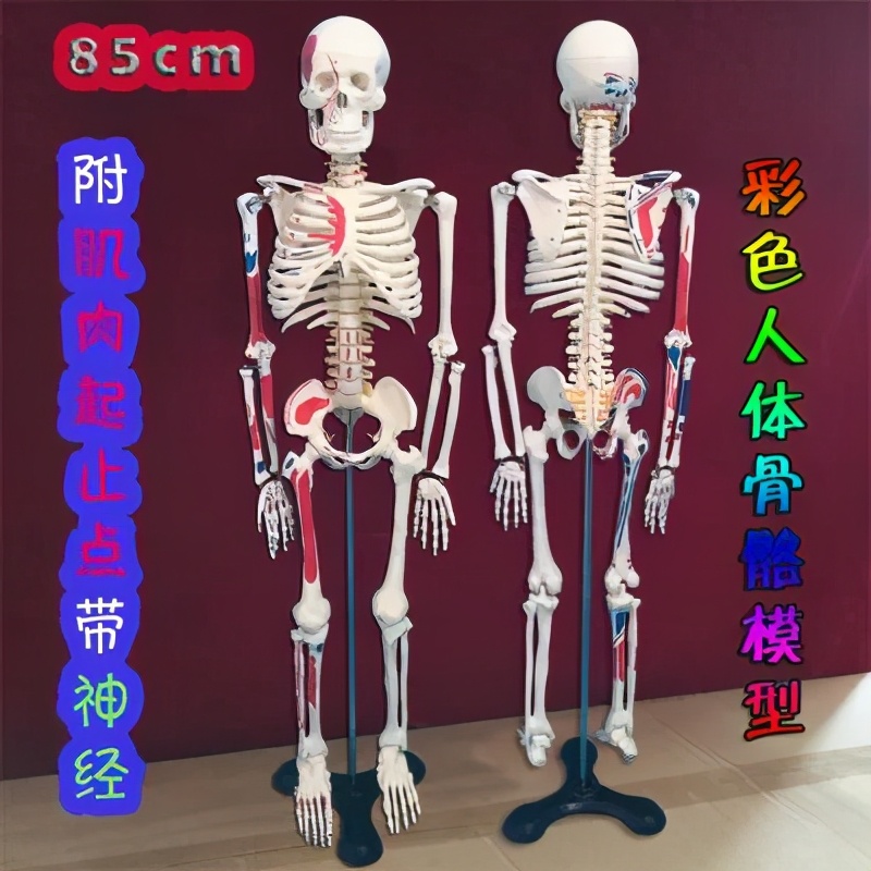 Born with right-angled shoulders? No you are not - iNEWS