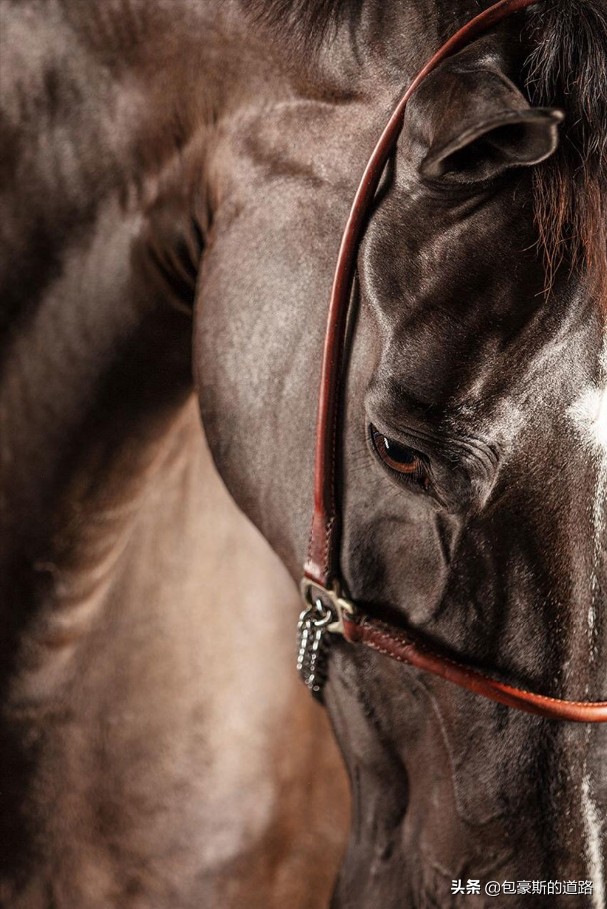 Brazilian Photographer: Raphael Macek - iNEWS