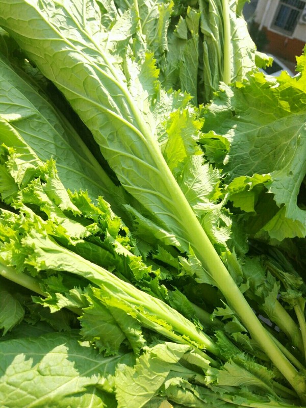 How to pickle potherb mustard delicious?Grandma used the 30-year-old ...