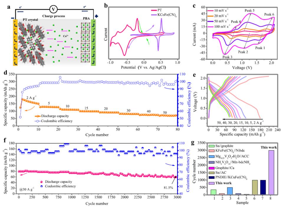 "Calcium" is unparalleled in the world-fast and reversible storage of ...