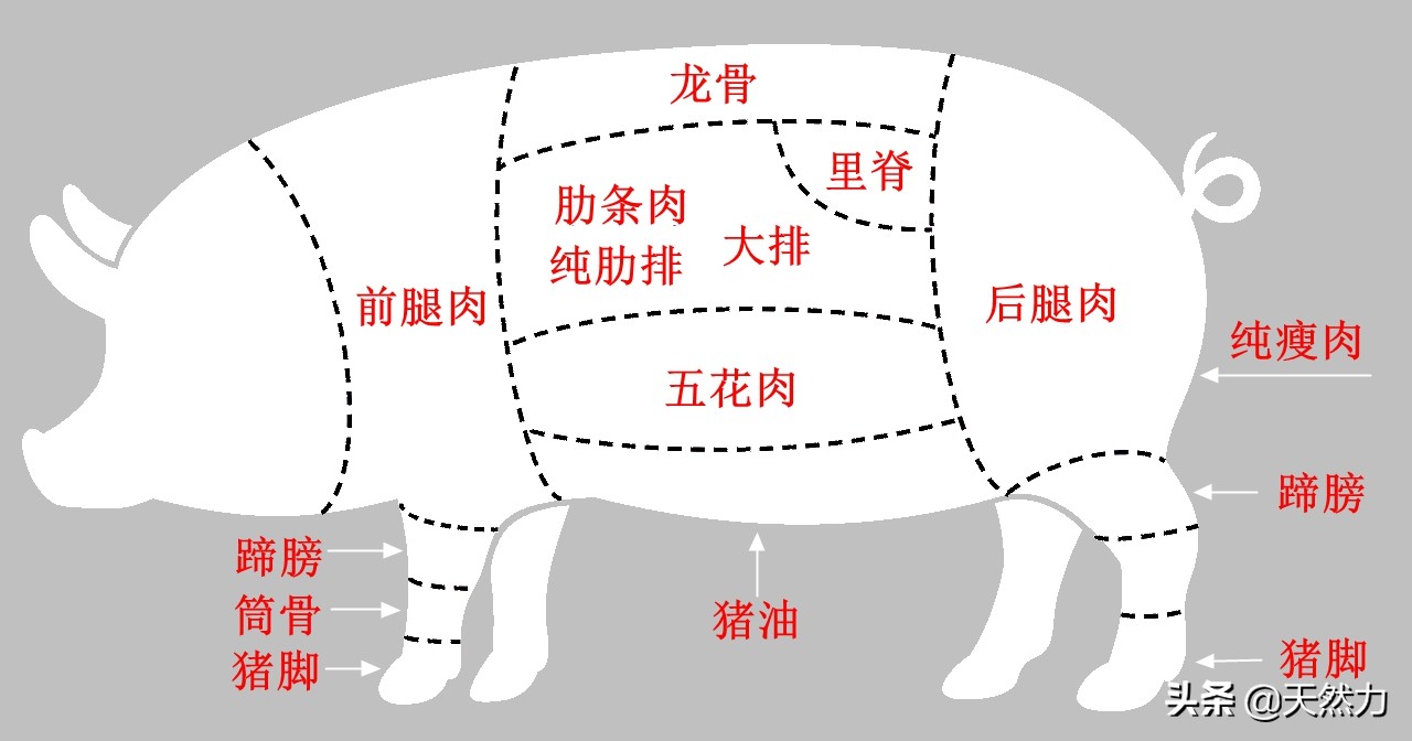 How to distinguish pork parts and what is more suitable for each part ...