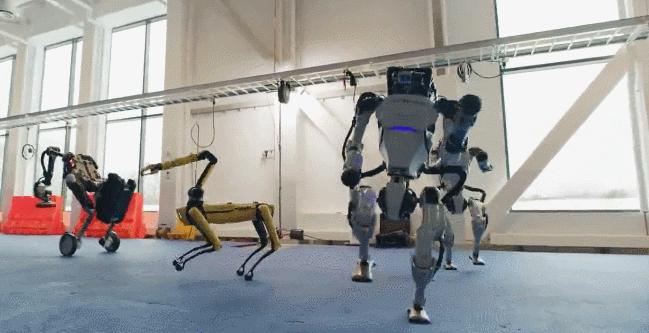 Foreigners use robotic dogs to herd sheep. Shepherd dogs are about to ...