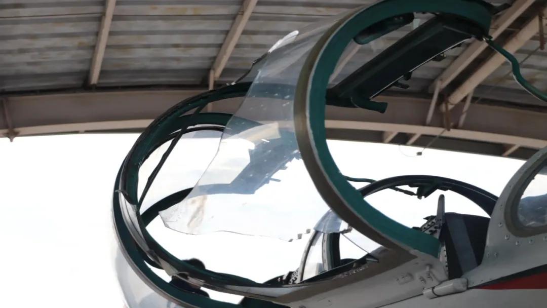 80% of the canopy was damaged when the fighter hit the bird, and the ...