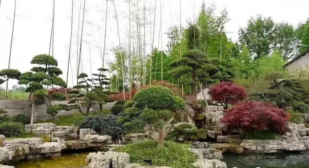 Chengdu promotes the beautiful West Sichuan Linpan and Chongzhou, these ...