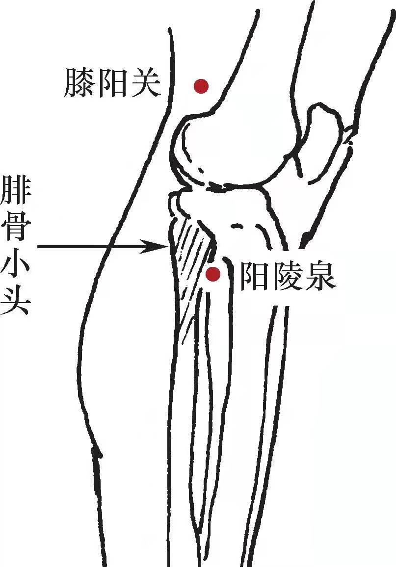Master of Traditional Chinese Medicine Lv Jingshan's Acupuncture Point ...