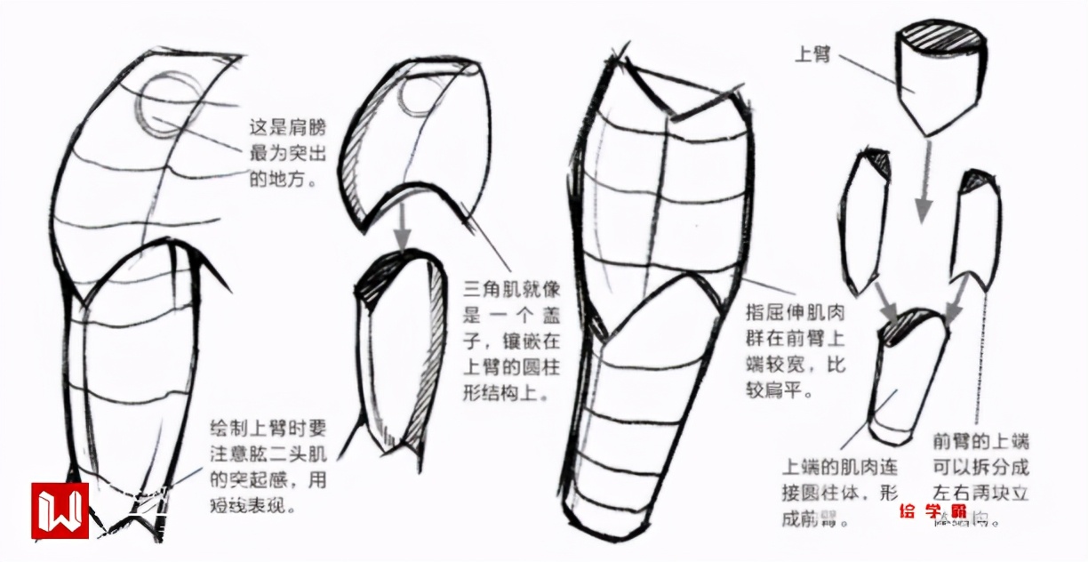 How to draw a curved arm?How to draw the raised arm? - iNEWS