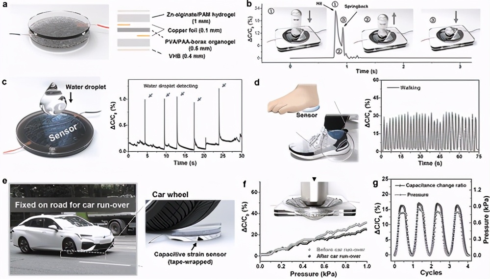 Ultra-stable, dynamic ultra-tough hydrogel-organogel capacitive strain ...
