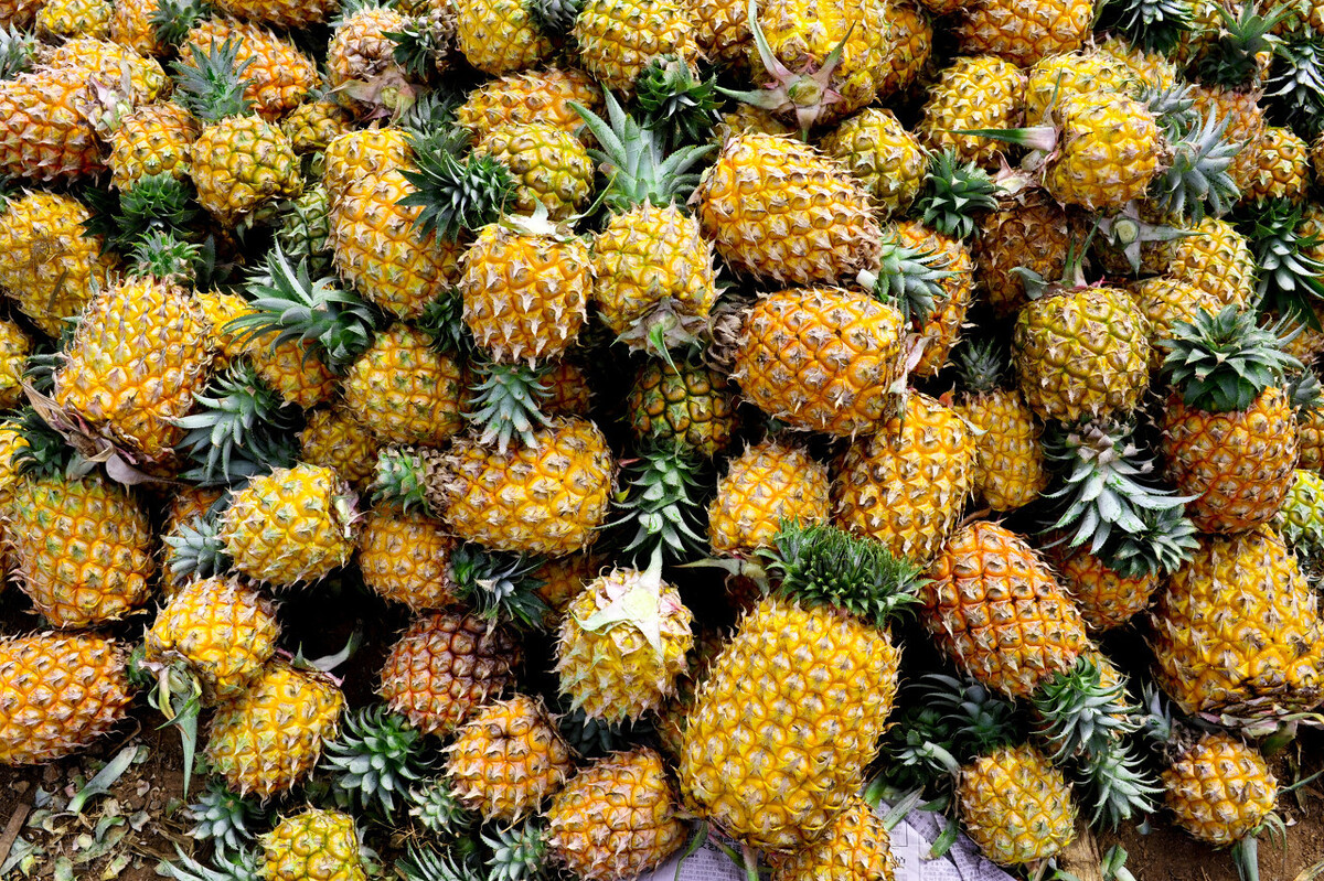 When buying pineapples, don't buy whole yellow ones. Keep in mind 4 tips. Pineapples are ...