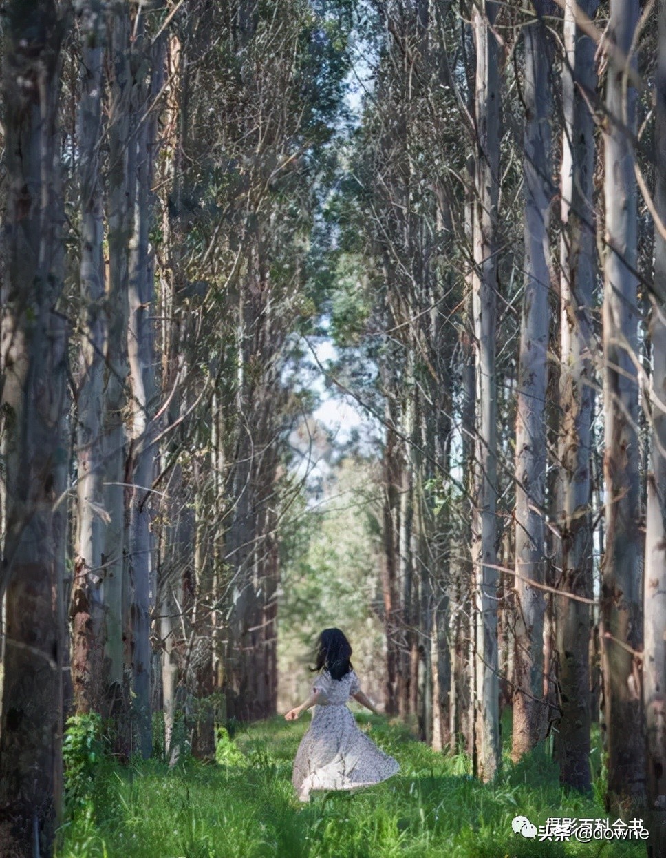 Dindal light effect achieved in one step!Simple and rude - iNEWS