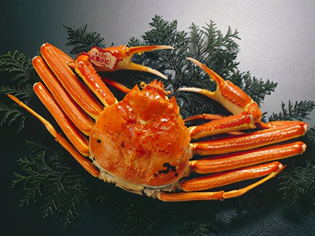 Matsuba crab is a winter feature of the Sea of Japan - iNEWS