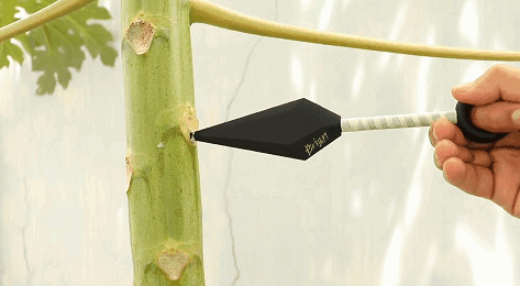 Make leftover popsicle sticks into darts and daggers, and they will ...