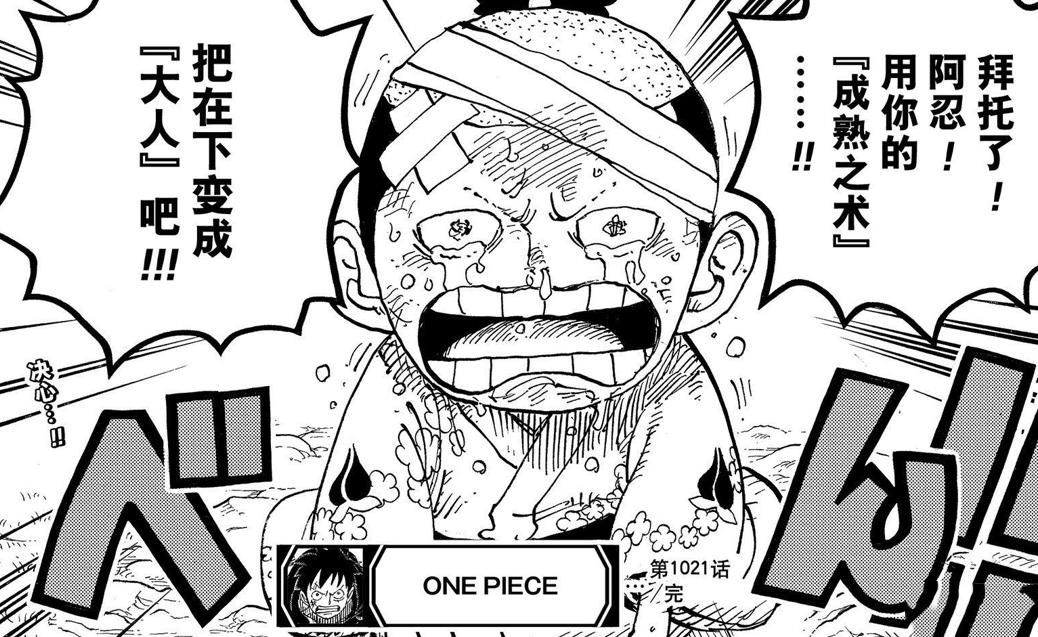 One Piece Chapter 1022: Intelligence: Six Volleys are officially ...