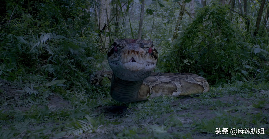 The reputation of "Douluo Dalu" has rebounded, and the special effects ...