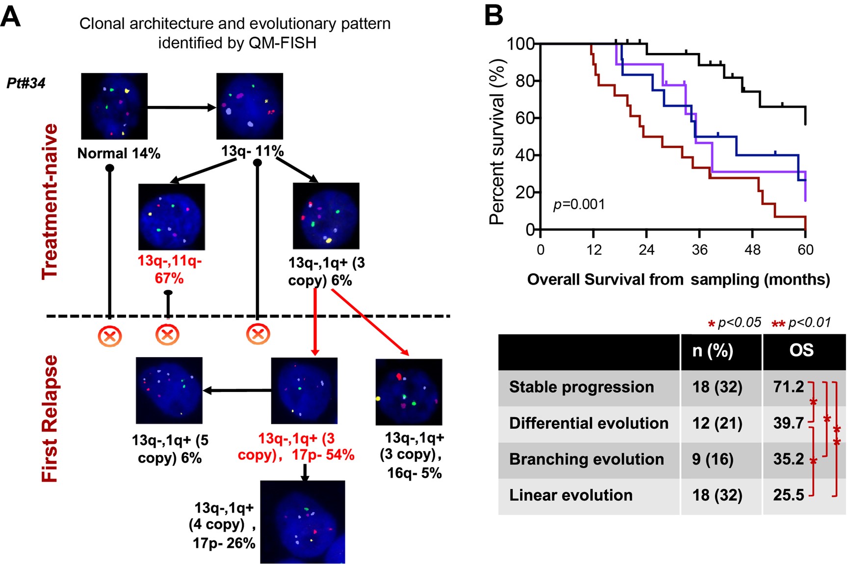 The study on the clonal evolution of multiple myeloma in the Hospital ...