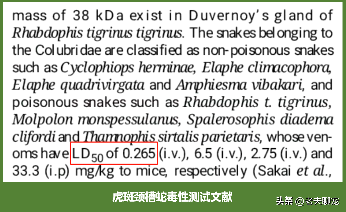 Is bitten a non-venomous snake? In fact, it is as poisonous as the ...