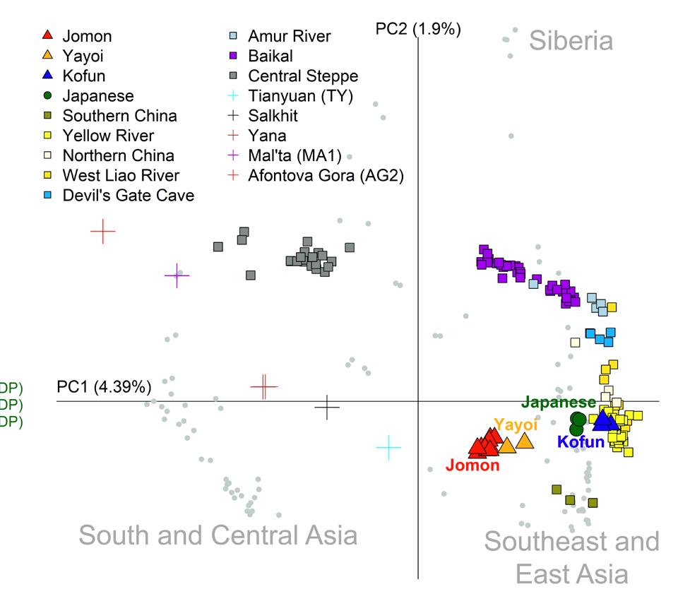 "Science": Ancient Japanese DNA shows that Japanese ancestors mainly ...