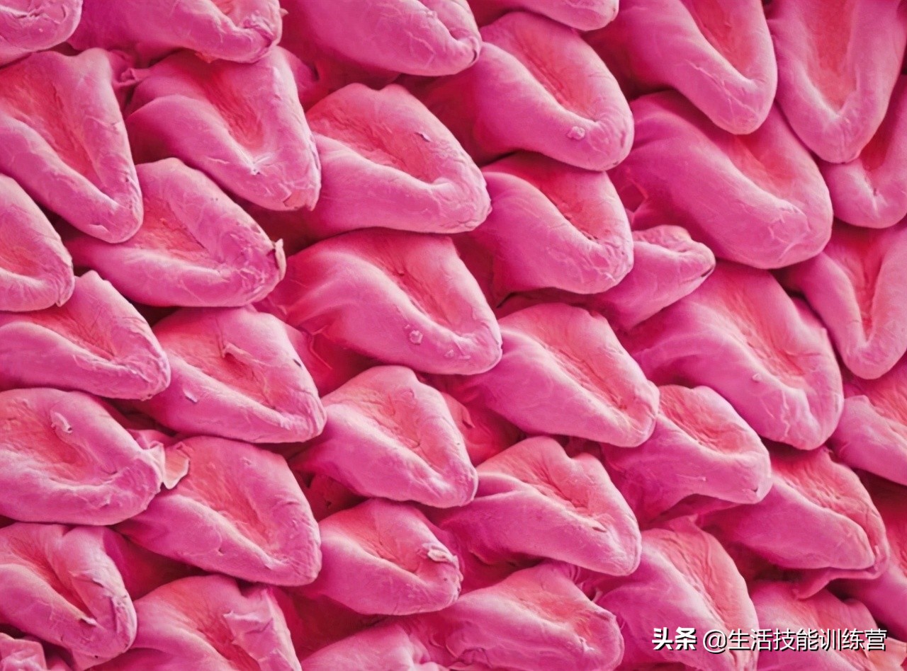 Wonderful microscopic world, 30 pictures show how everyday objects look ...