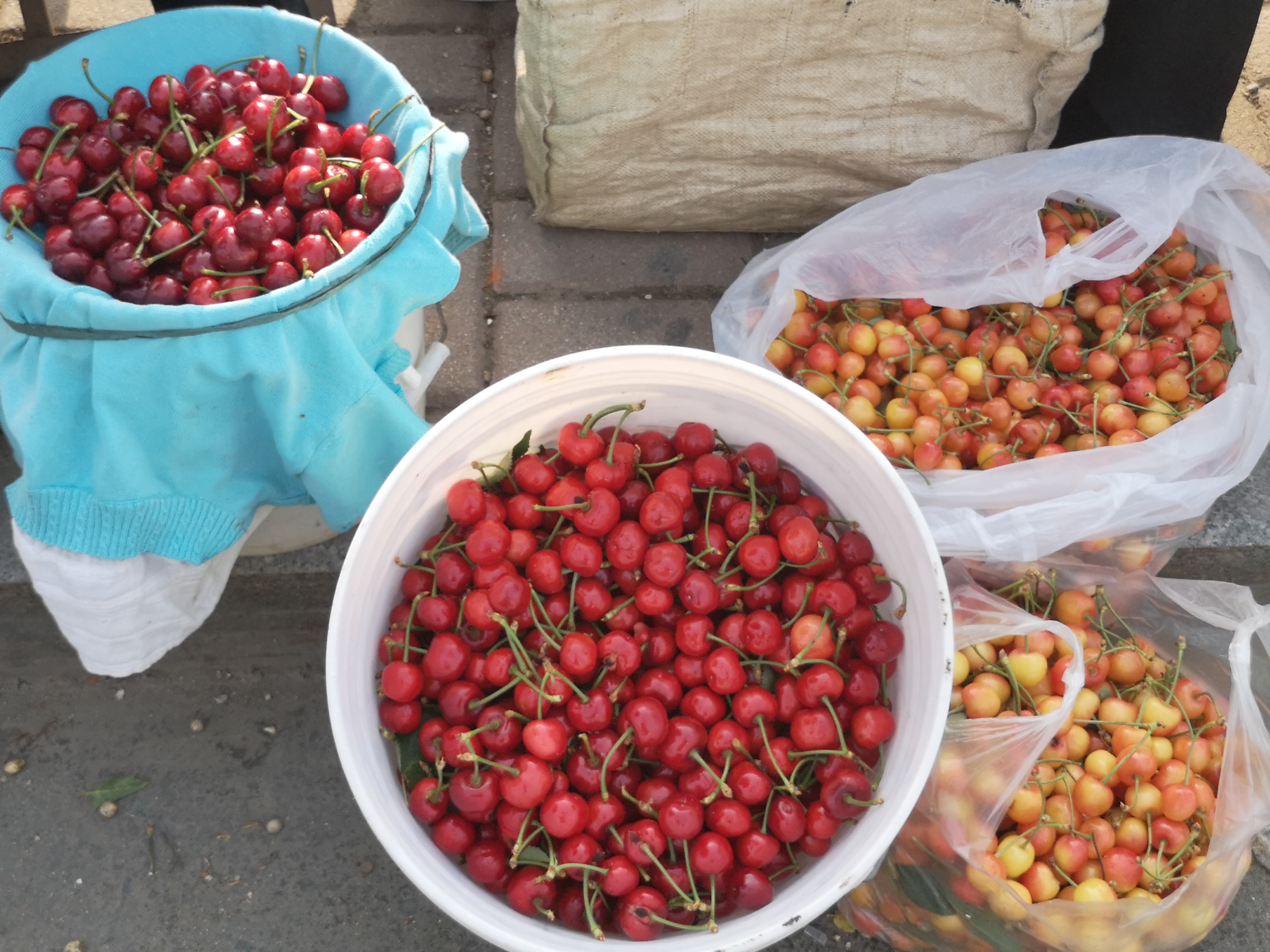 Cherries contain cyanide, cyanide is highly toxic, will I be poisoned ...