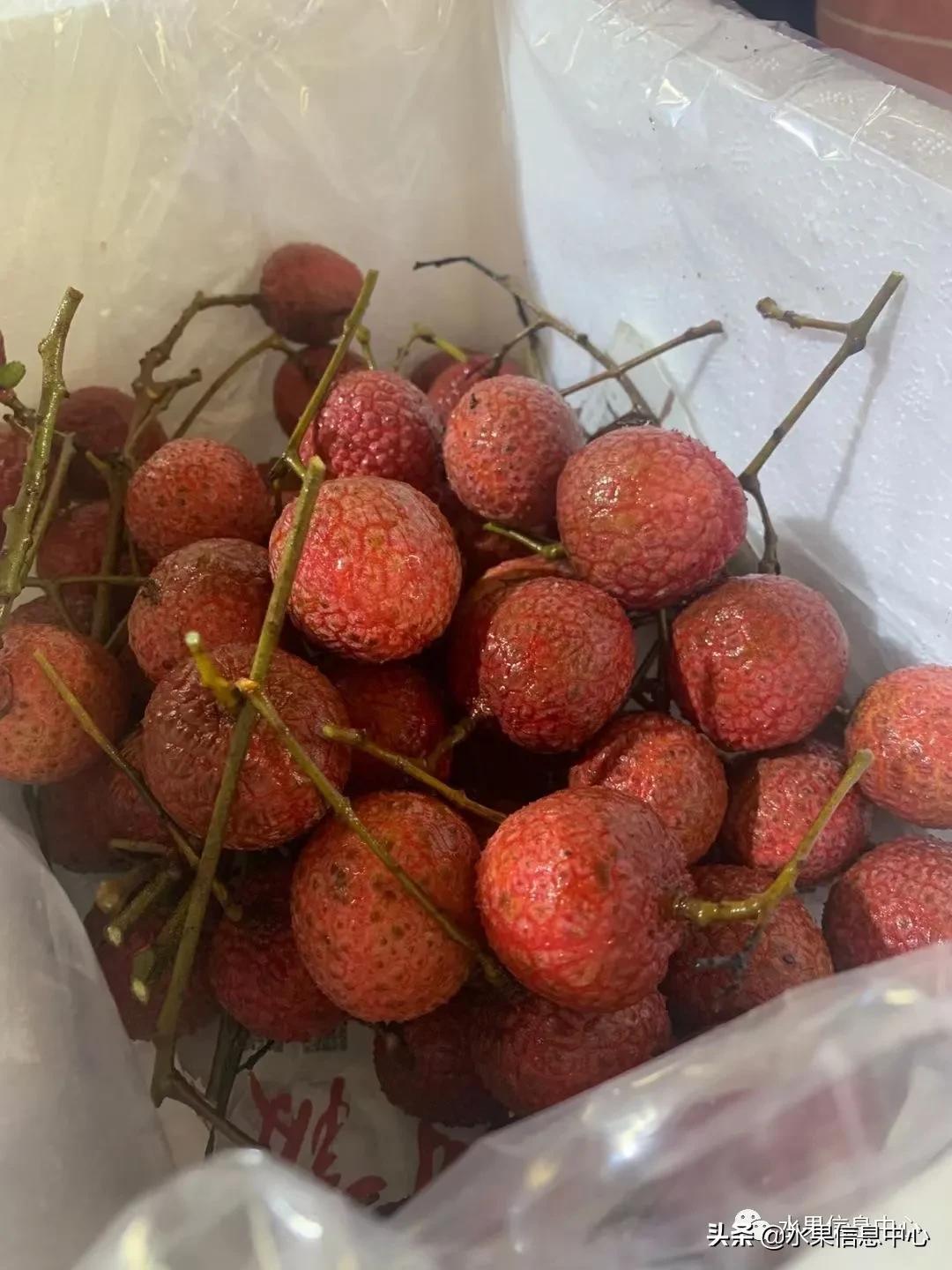 Comparison and evaluation of 10 types of lychees: Guiwei, Nuomi Cong ...