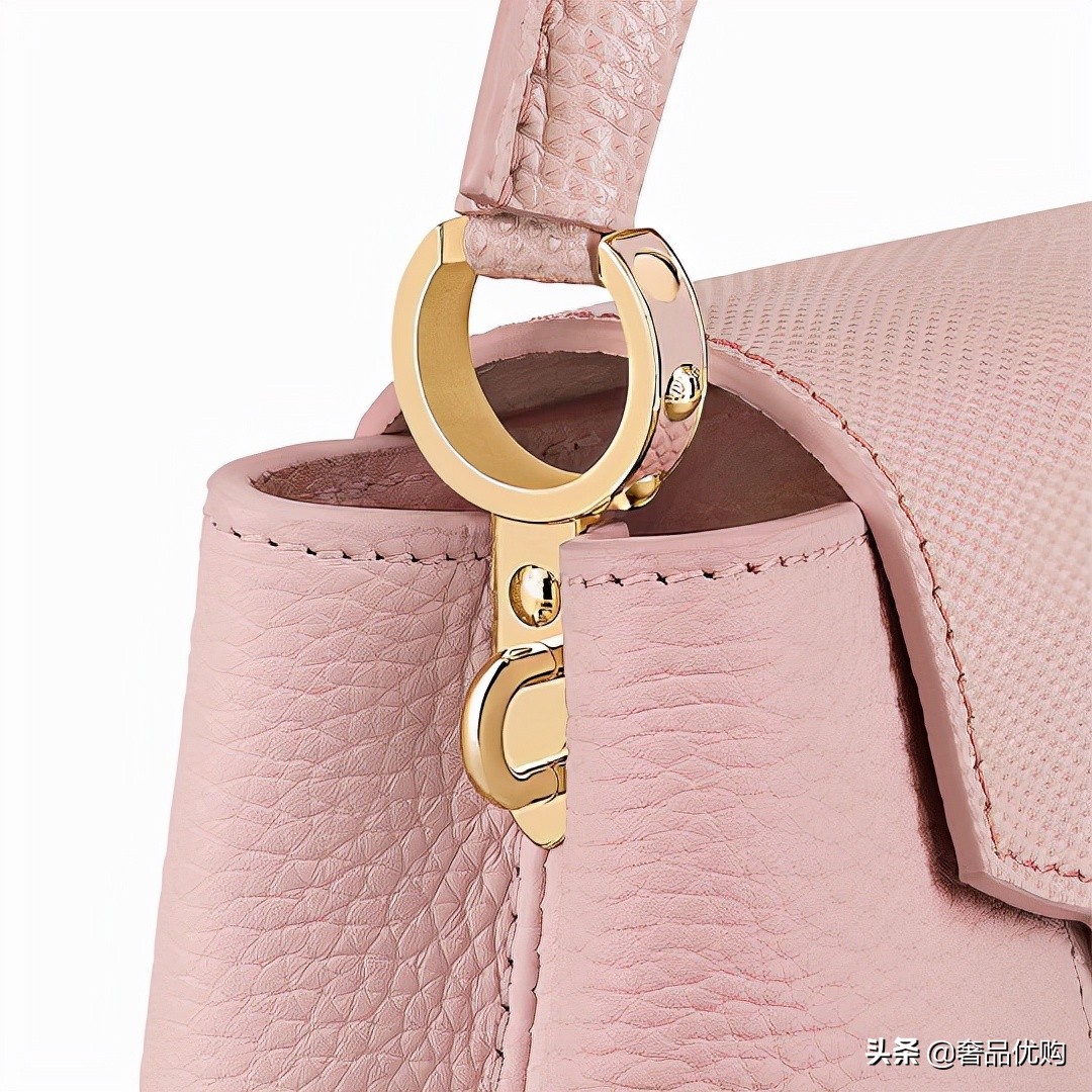 4 Capucines bags and small leather goods: makeup palette inspiration ...