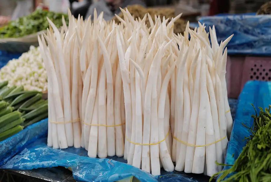 How wild is the vegetable market in Yunnan?You have never seen the ...