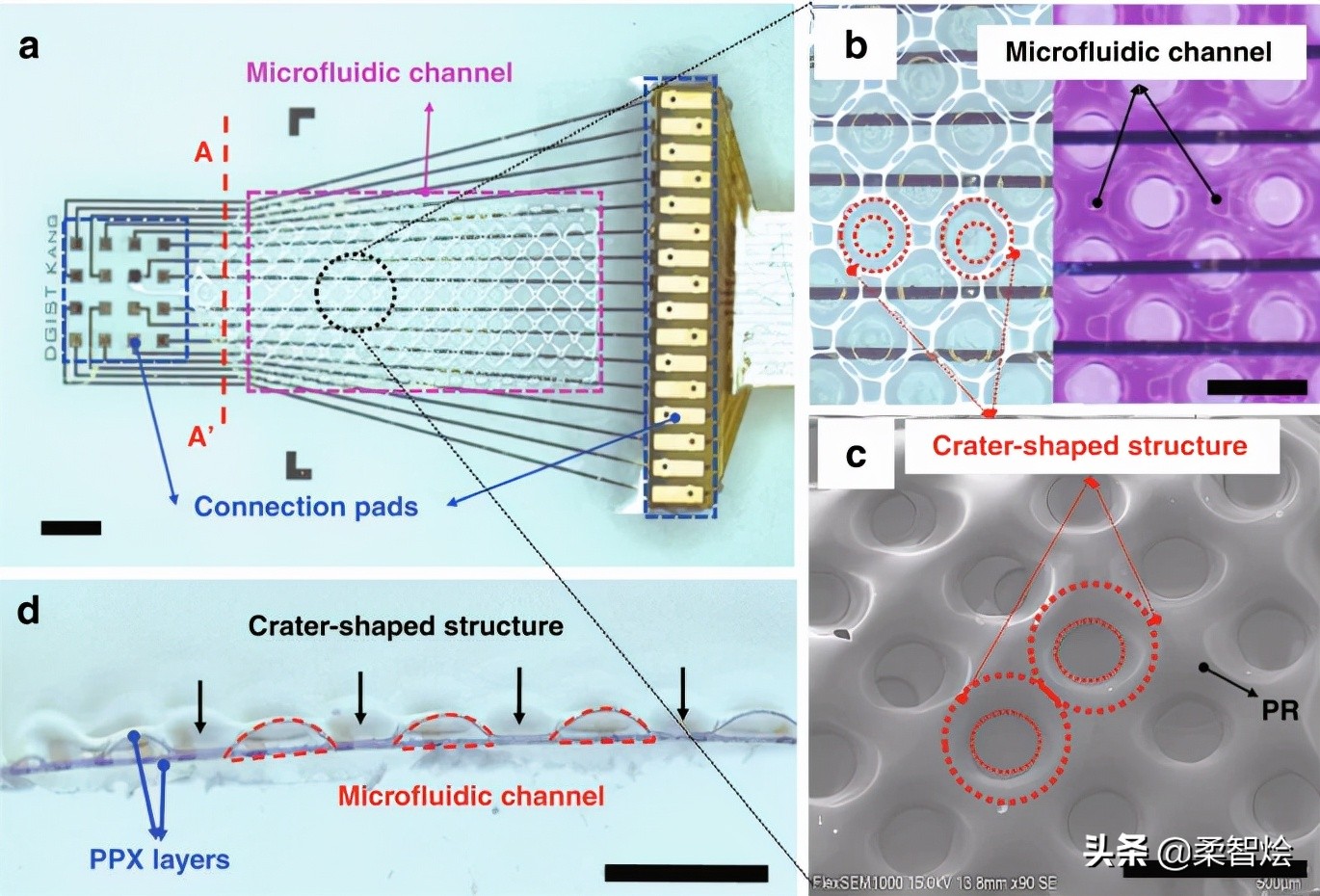 Directly into the brain: a flexible neural interface with 3D structure ...