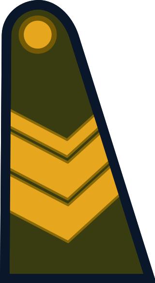 Military rank identification of each country: Argentina - iNEWS