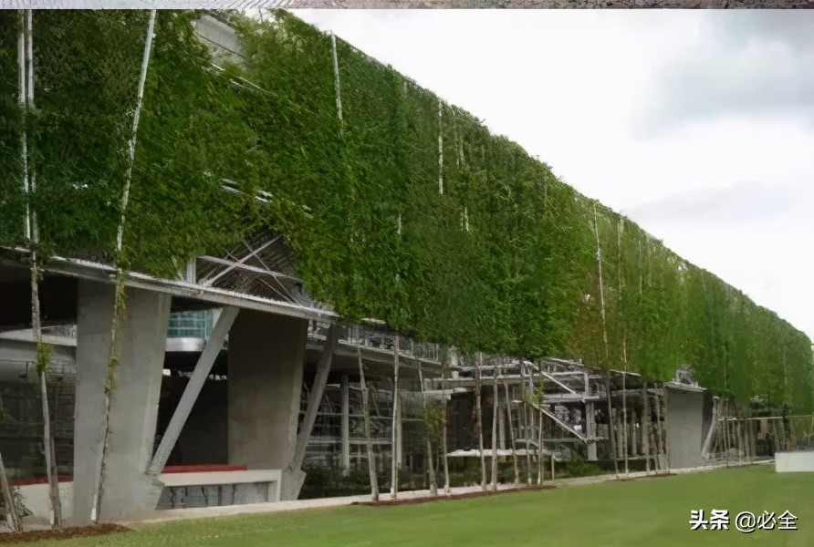 Analysis on the development of vertical three-dimensional greening - iNEWS