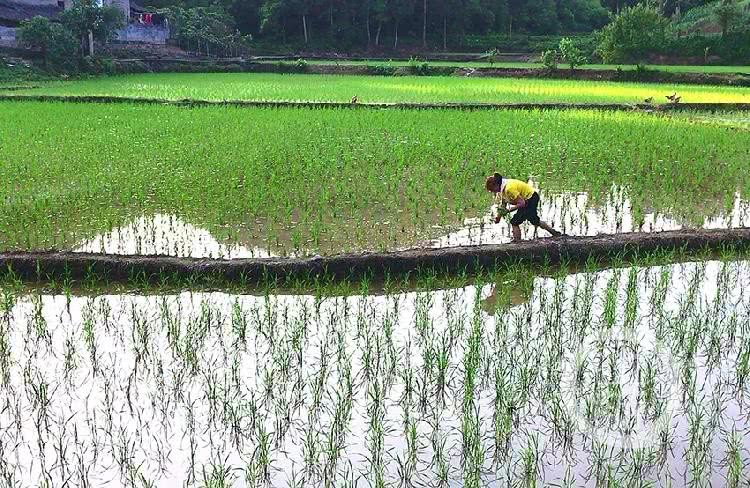 Emperor Yao: Tan Hong Yu Kongsang - iNEWS