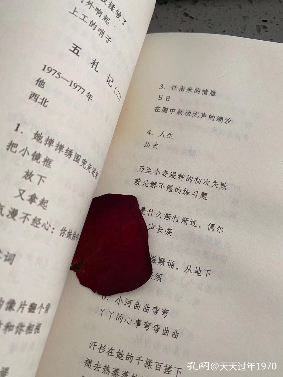 I found "Shu Ting's Poems" by chance, with a note full of affection in ...