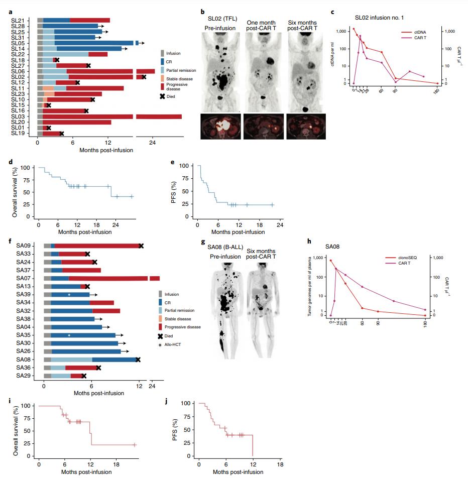 CD19-CD22 dual target CAR-T clinical trial results released - iNEWS
