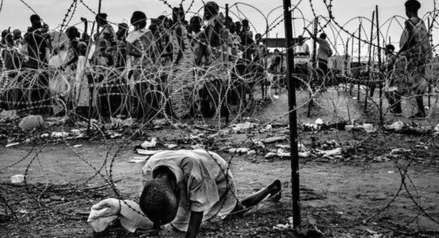 28 years ago, this photo of "vulture and little girl" became famous all ...