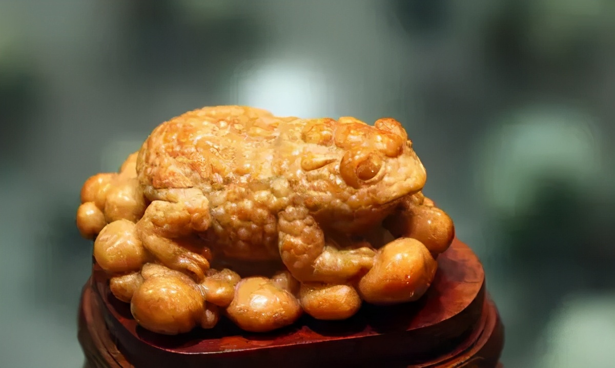 Wenwan Five Poisons, Scorpion, Snake, Centipede, Gecko and Toad - iNEWS